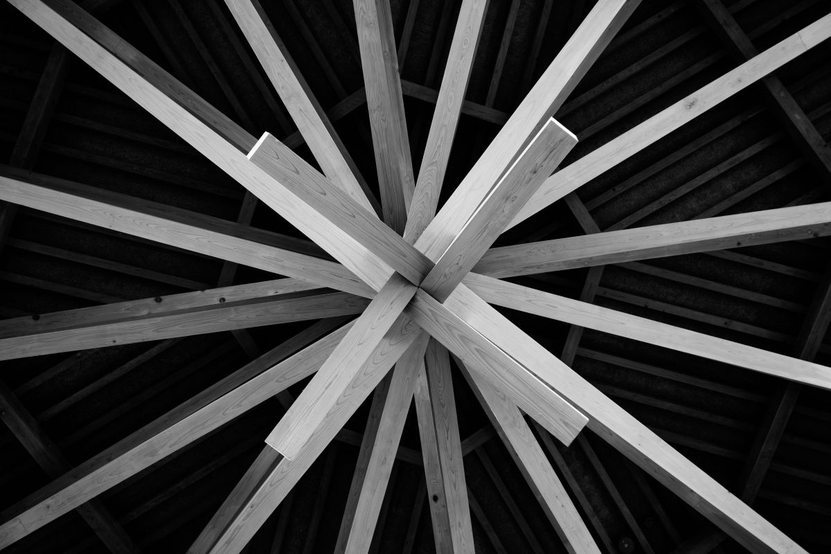 radial woods | GANREF