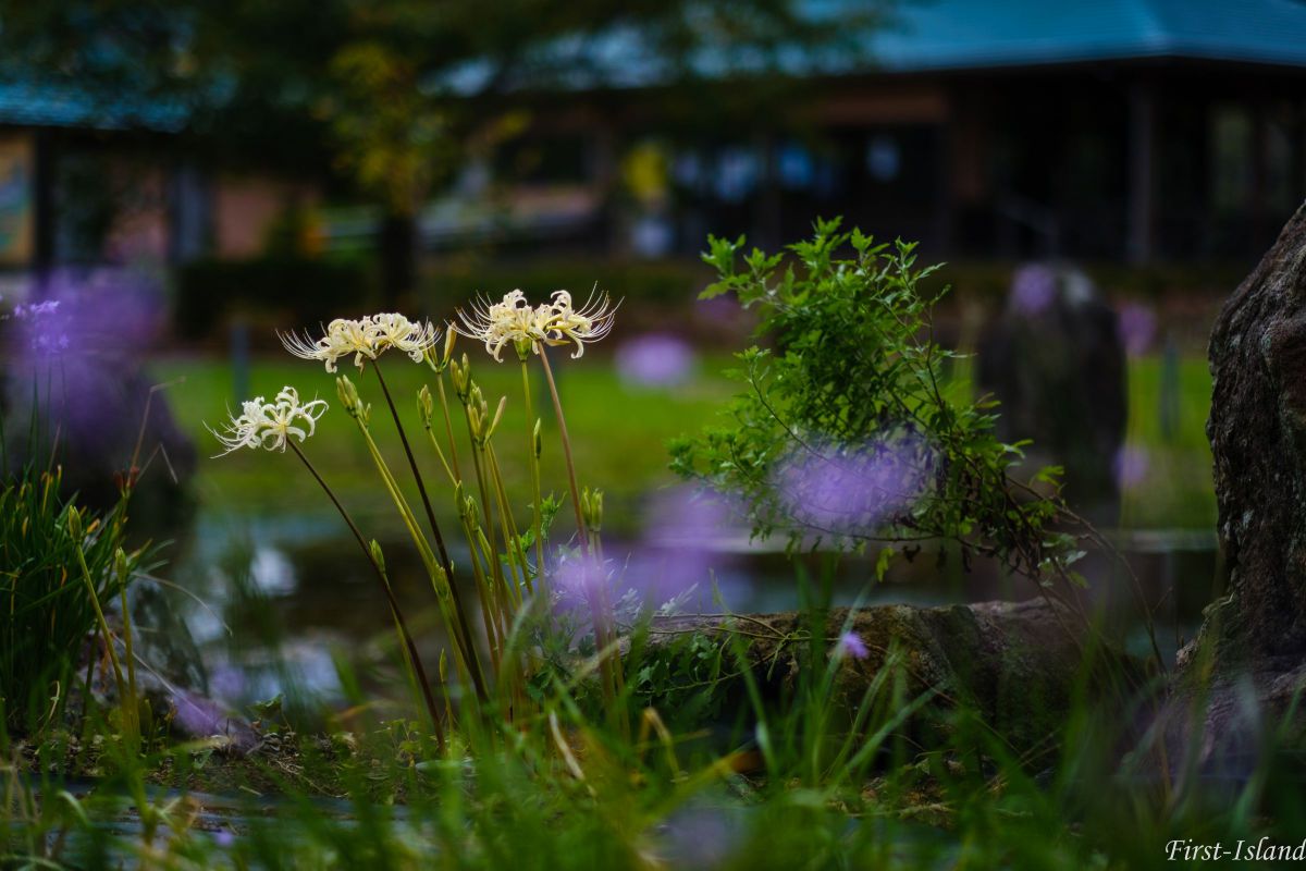 秋の佇まい | GANREF