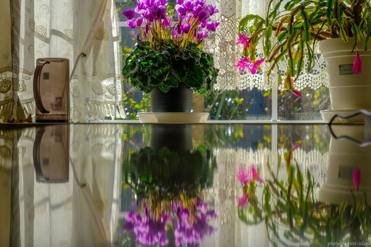 Table Reflection | GANREF