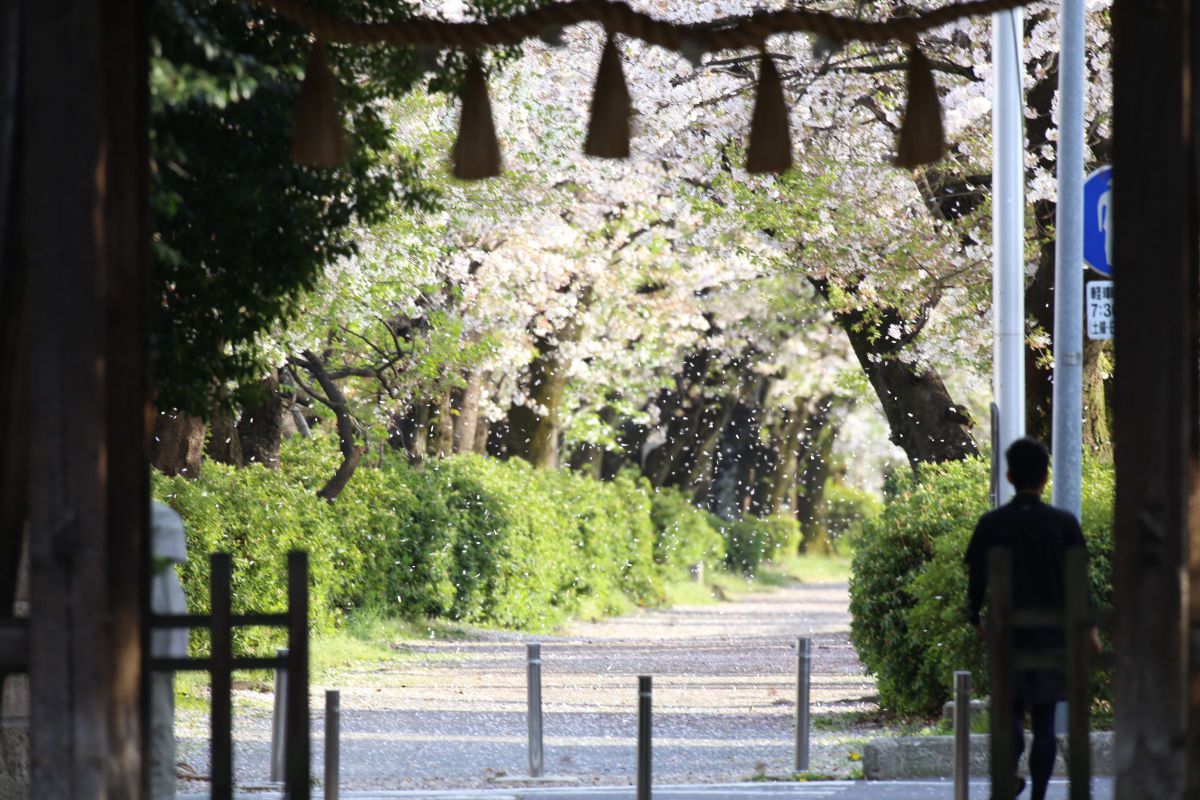 IMG_4739.JPG | GANREF