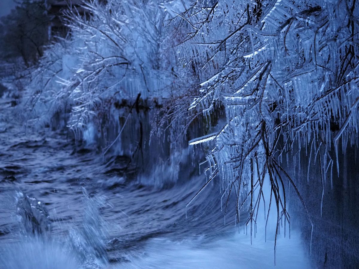 Season In！ | GANREF