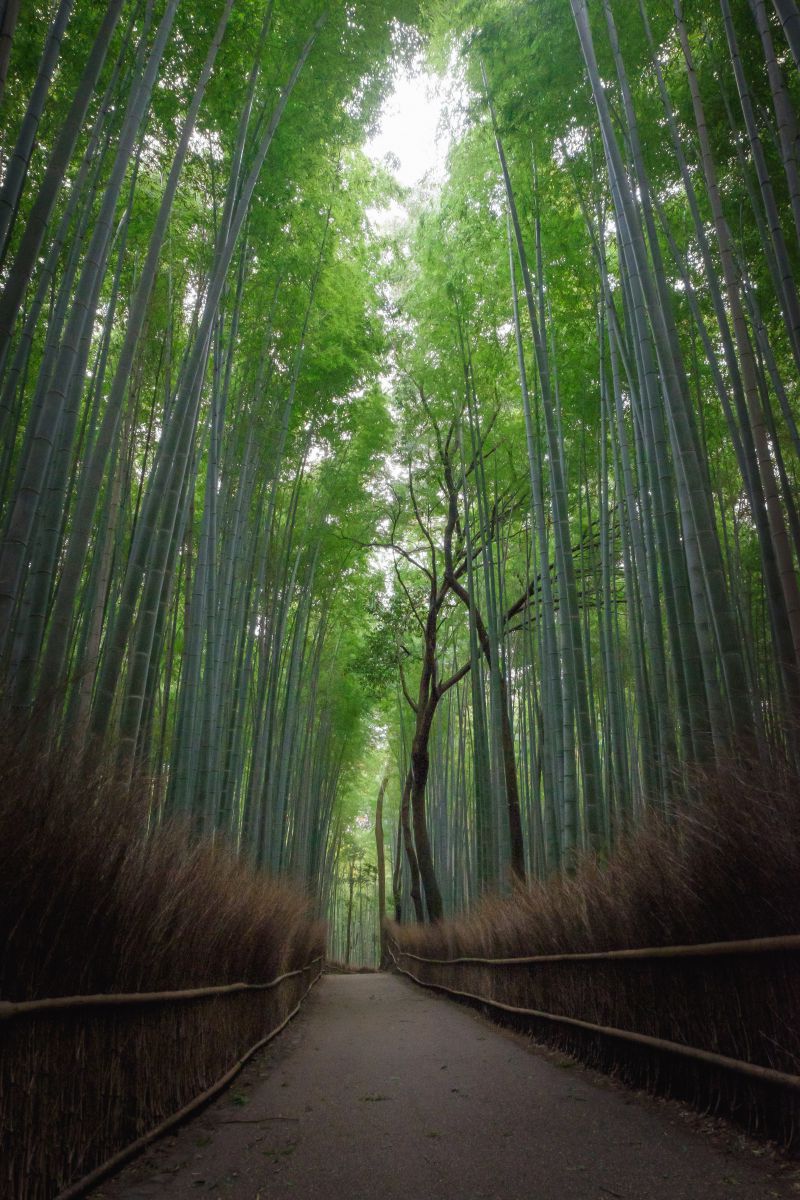 X-T10とともに1075km青春18きっぷの旅―広島＆京都― | GANREF