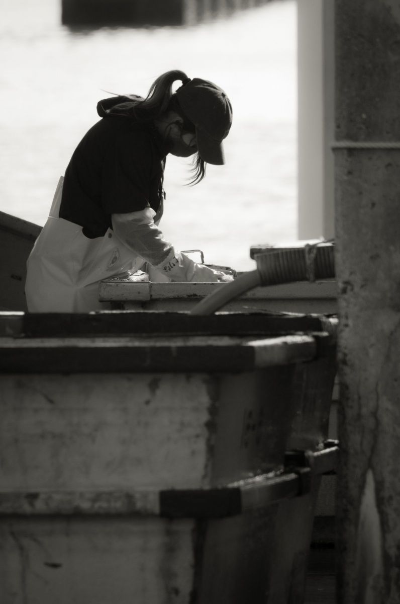 漁港の女の子 | GANREF