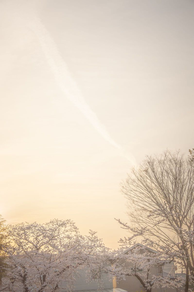 春霞の朝 | GANREF