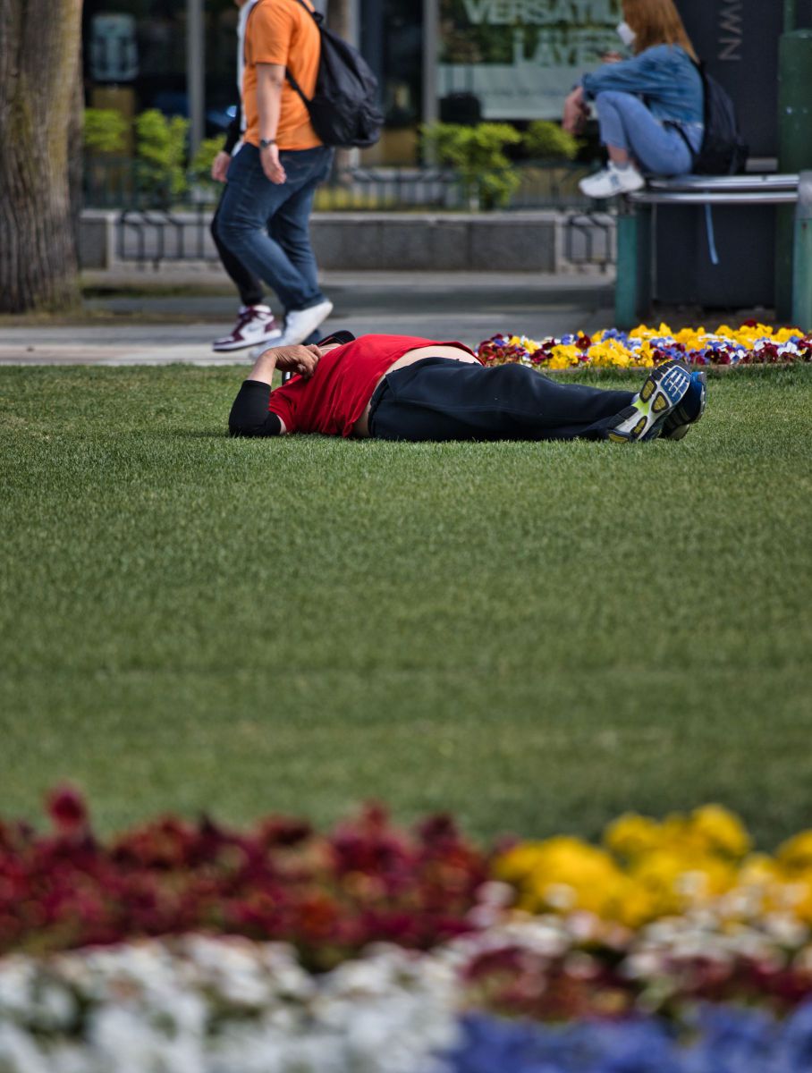 flowers bed | GANREF