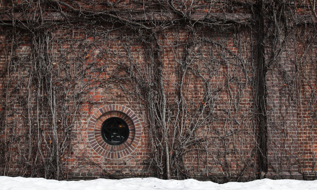 Brick on Snow | GANREF