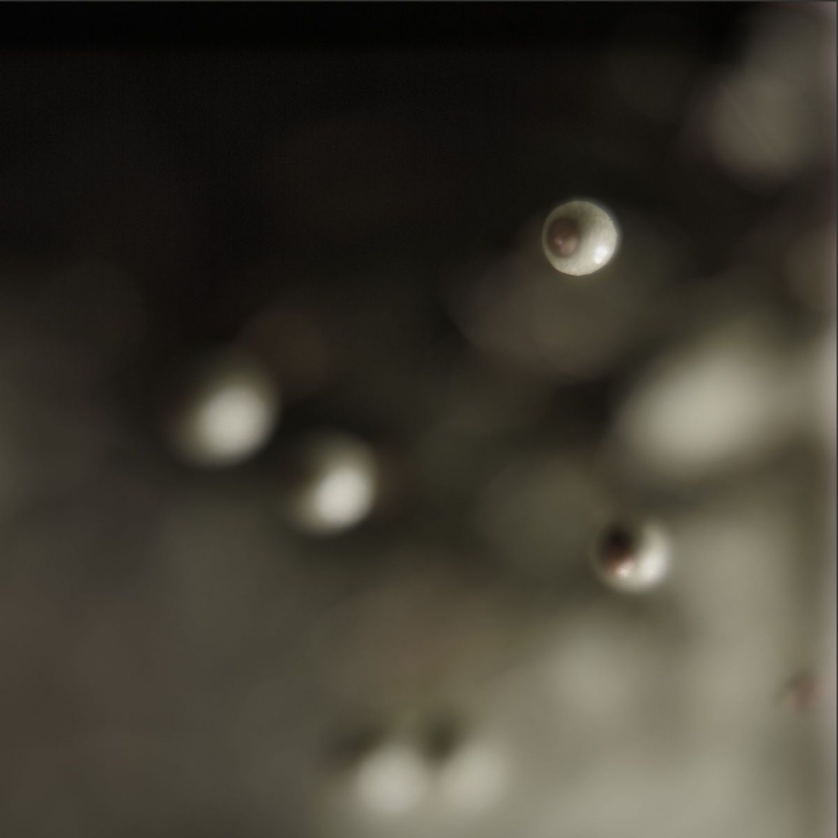 ZERO GRAVITY | GANREF