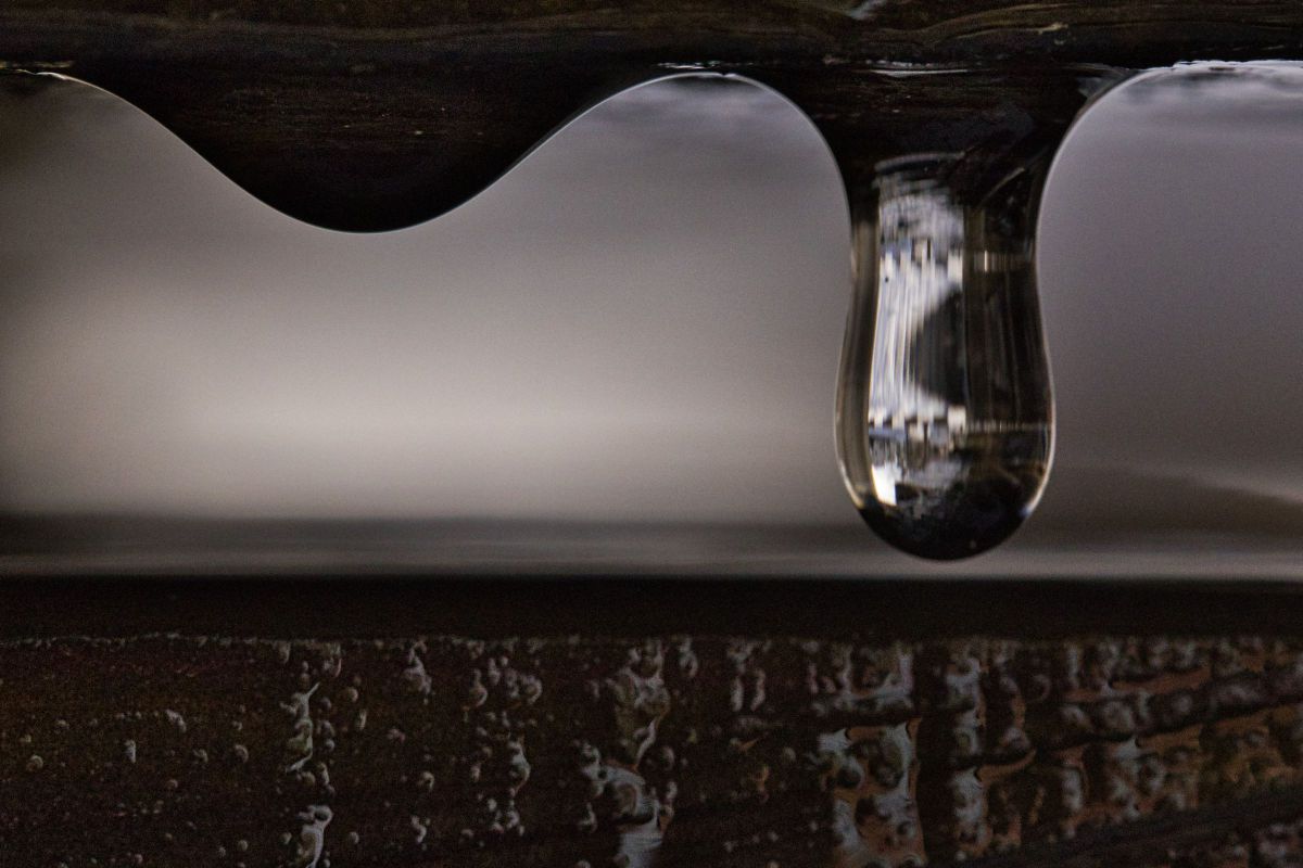 gravity curving | GANREF