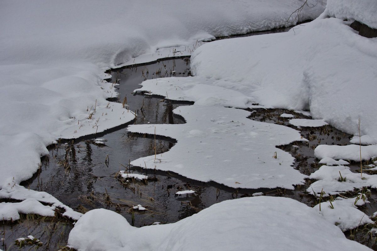 Silent stream | GANREF