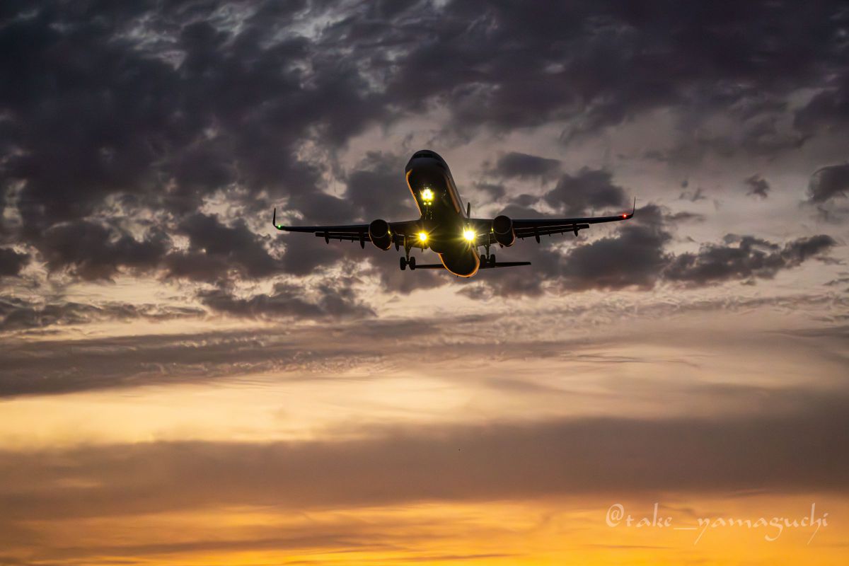 twilight landing | GANREF