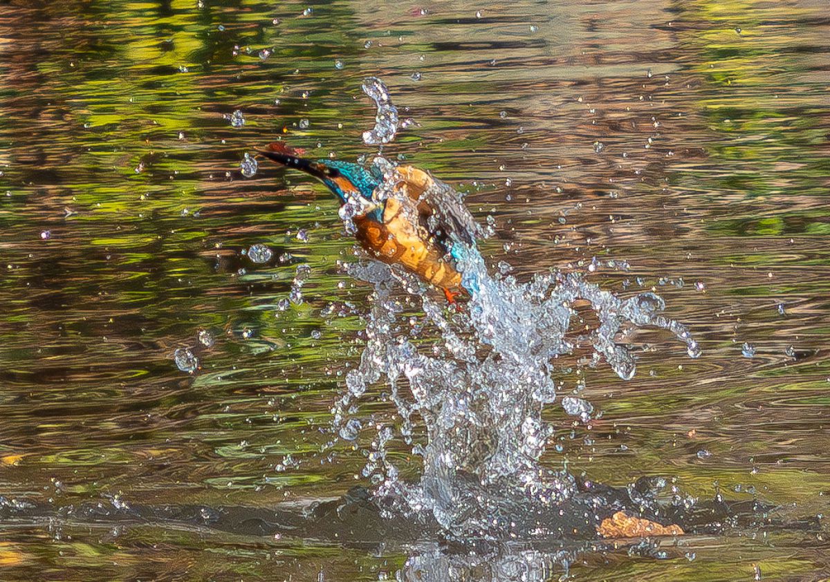 飛び出す | GANREF