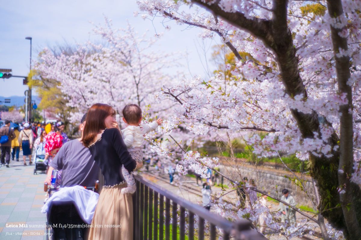 桜にタッチ！ | GANREF