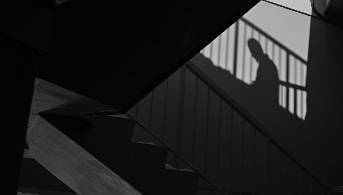 The third man | GANREF