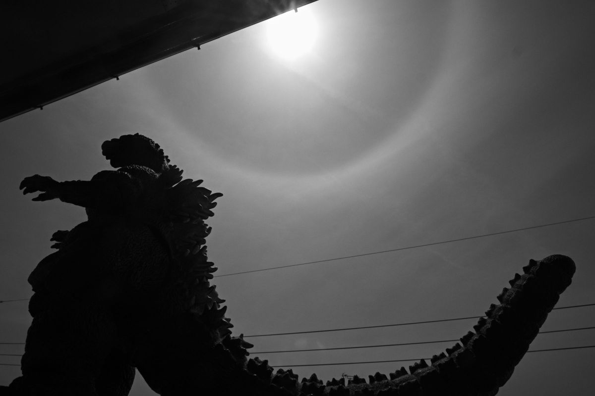 Godzilla monochrome | GANREF