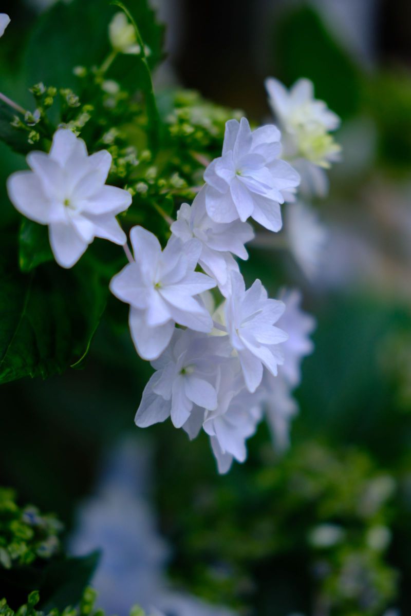 移り変わり | GANREF