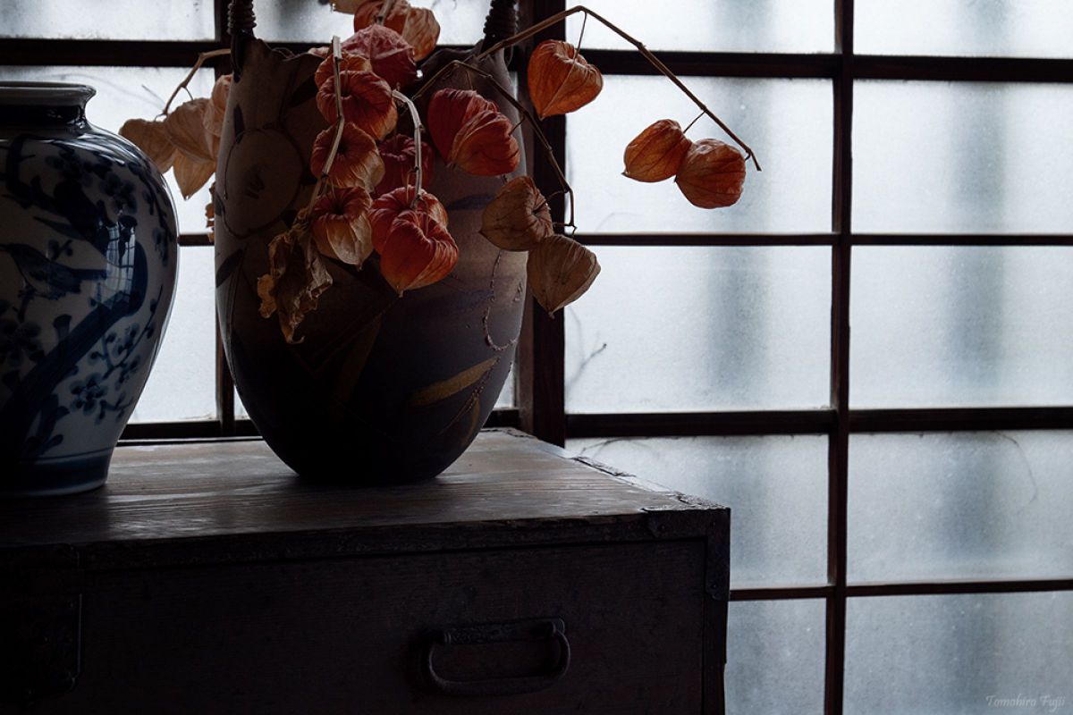 Matsuyama, Ehime, Japan, 2022 | GANREF