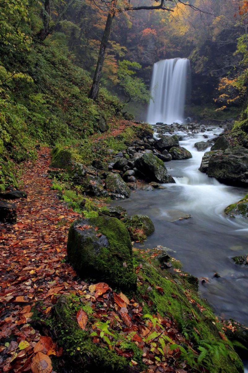 雨中の滝 | GANREF