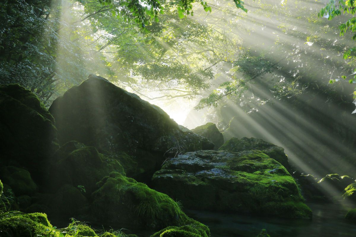 光の魔法 | GANREF