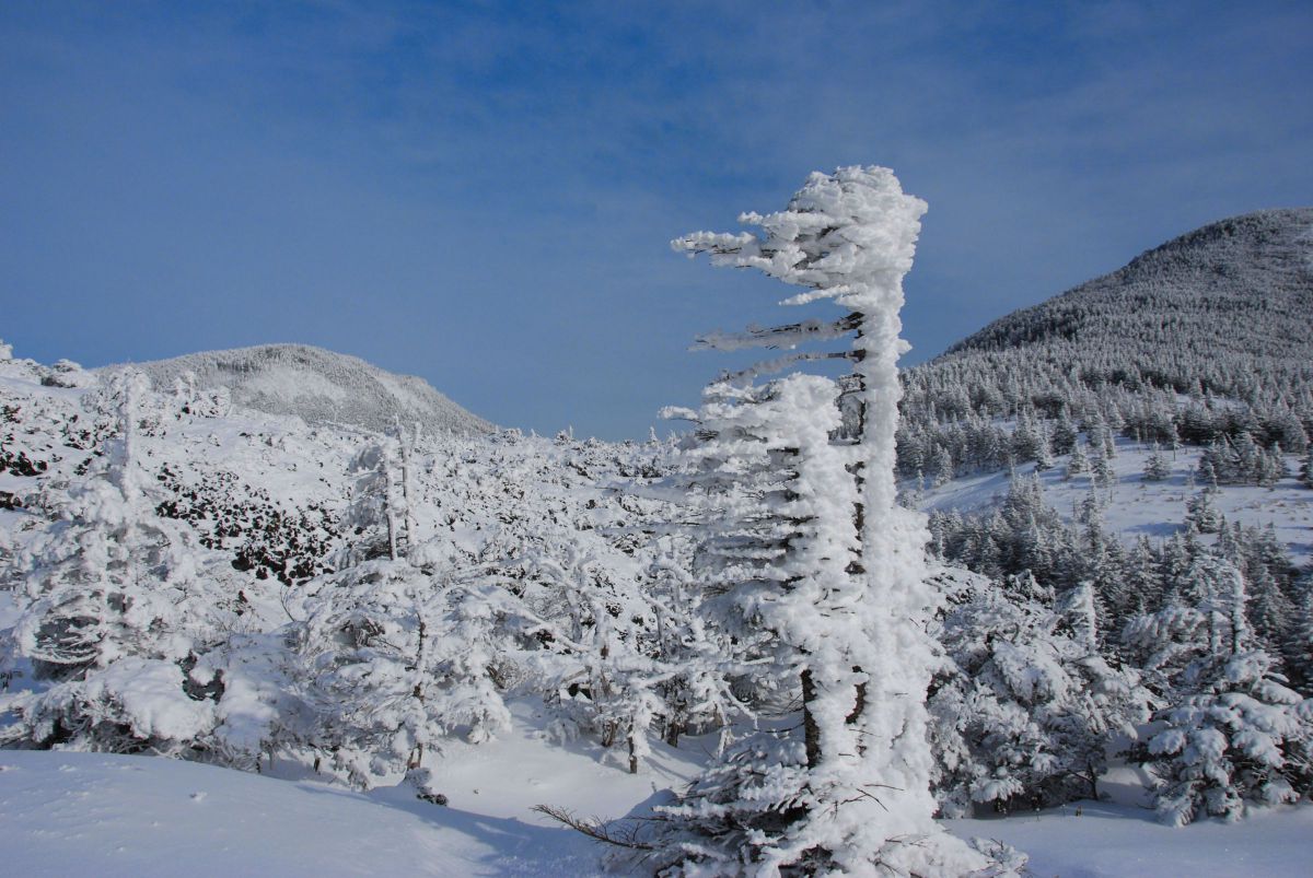 標高2240m | GANREF