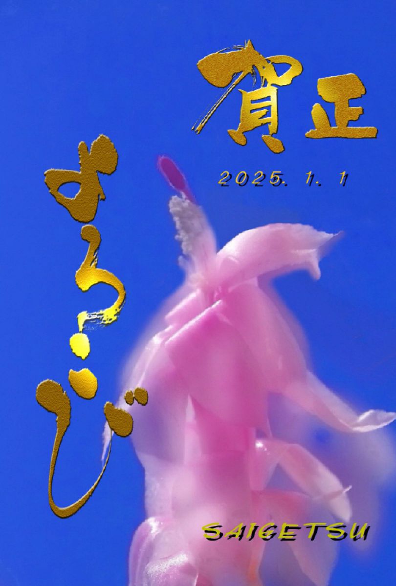 ’25花シリ－ズ（46 | GANREF