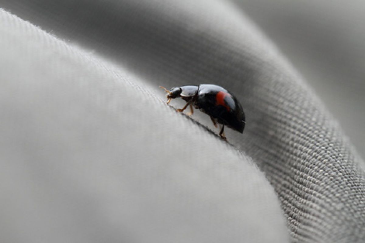 CANON大撮影会in大阪でEOS 7D | GANREF