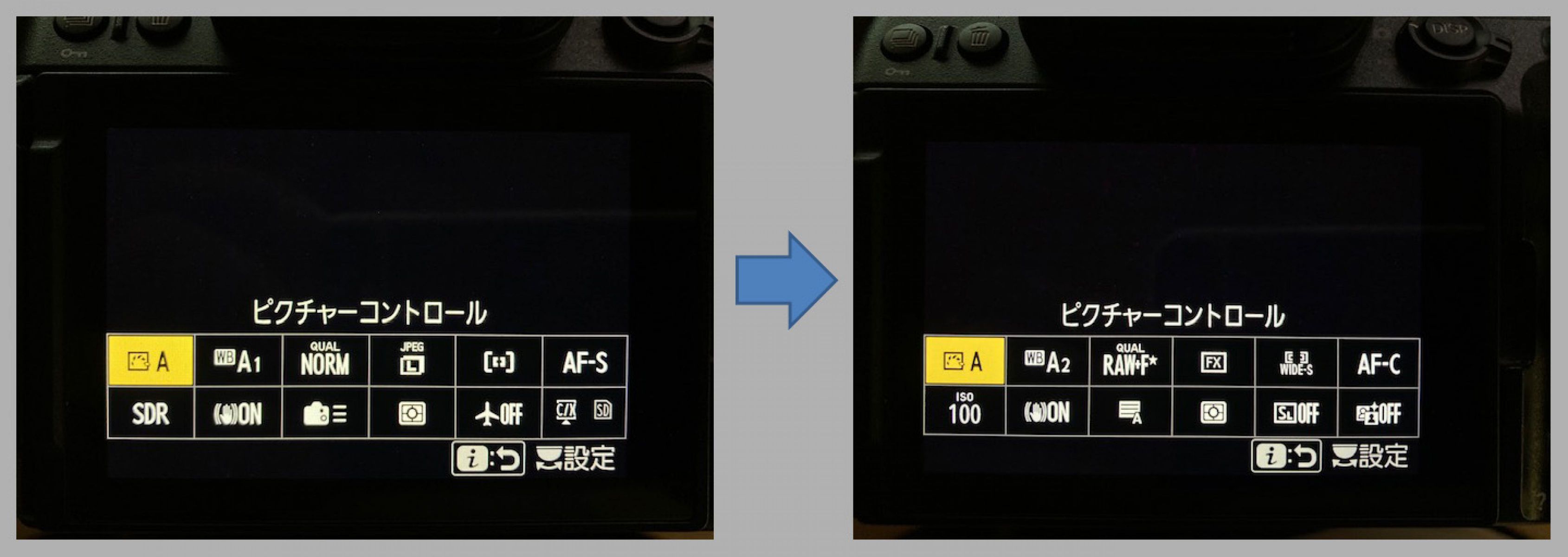 注目製品レビュー ニコン Z5II & Z6III Vol.26 カスタマイズ | GANREF