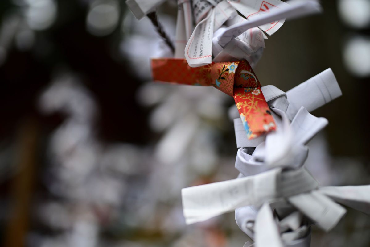 注目製品レビュー ニコン Z8＆大三元レンズ【風景・星景編】 Vol.22 大口径単焦点遊び | GANREF