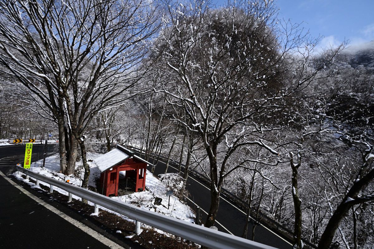 注目製品レビュー ニコン Z8＆大三元レンズ【風景・星景編】 Vol.18 いろは坂の下り | GANREF