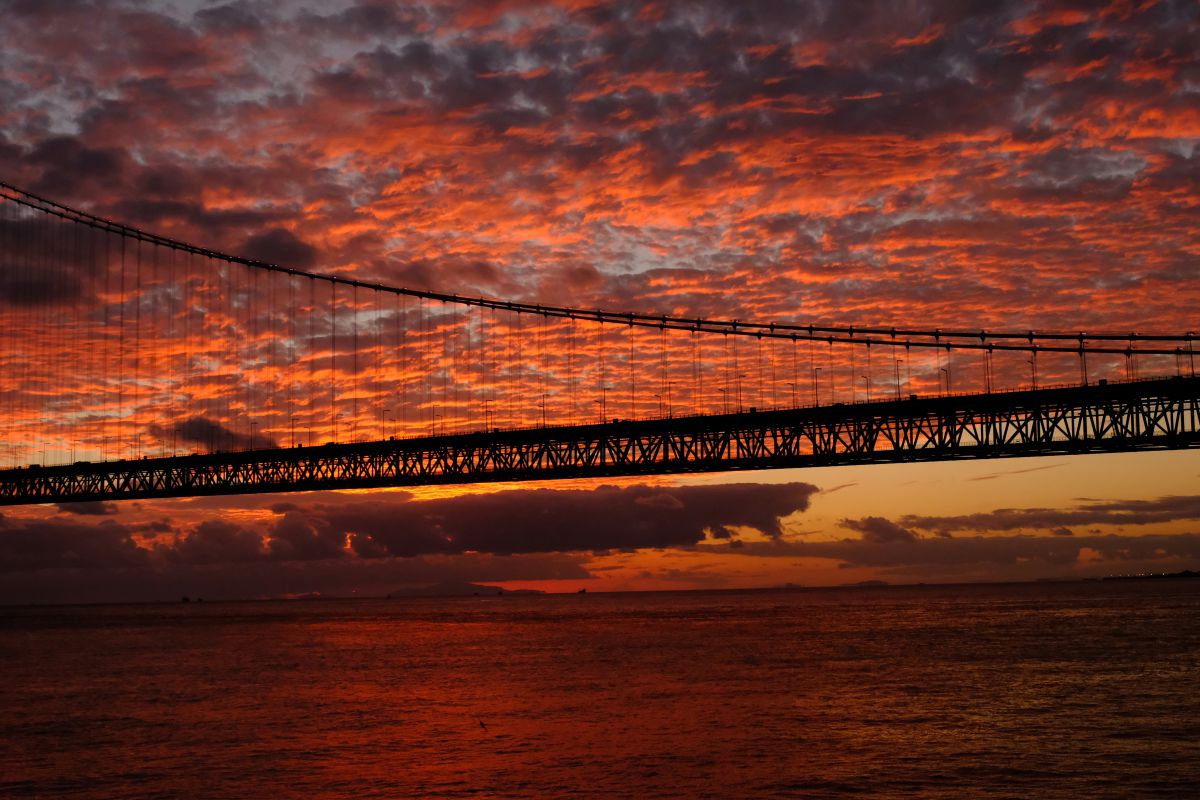 FUJIFILM X-T2編 Vol.30 ～さらなる期待(1)～ | GANREF