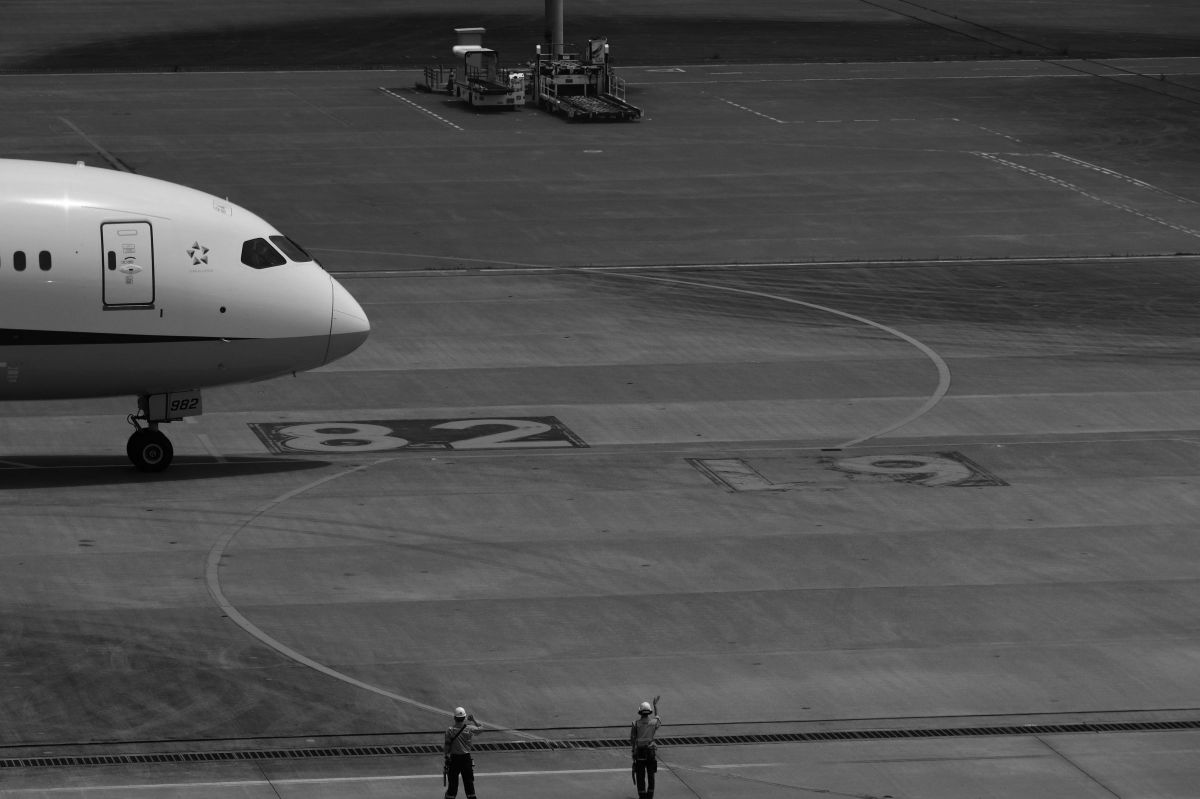 「82 19」 | GANREF