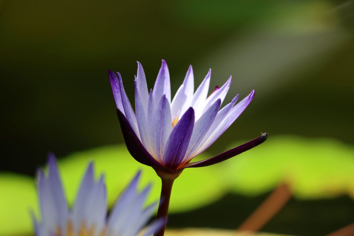 輝きを包んで | GANREF