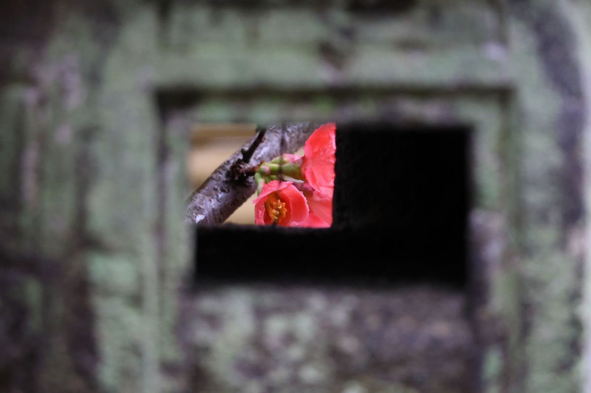 幸せの予感 | GANREF