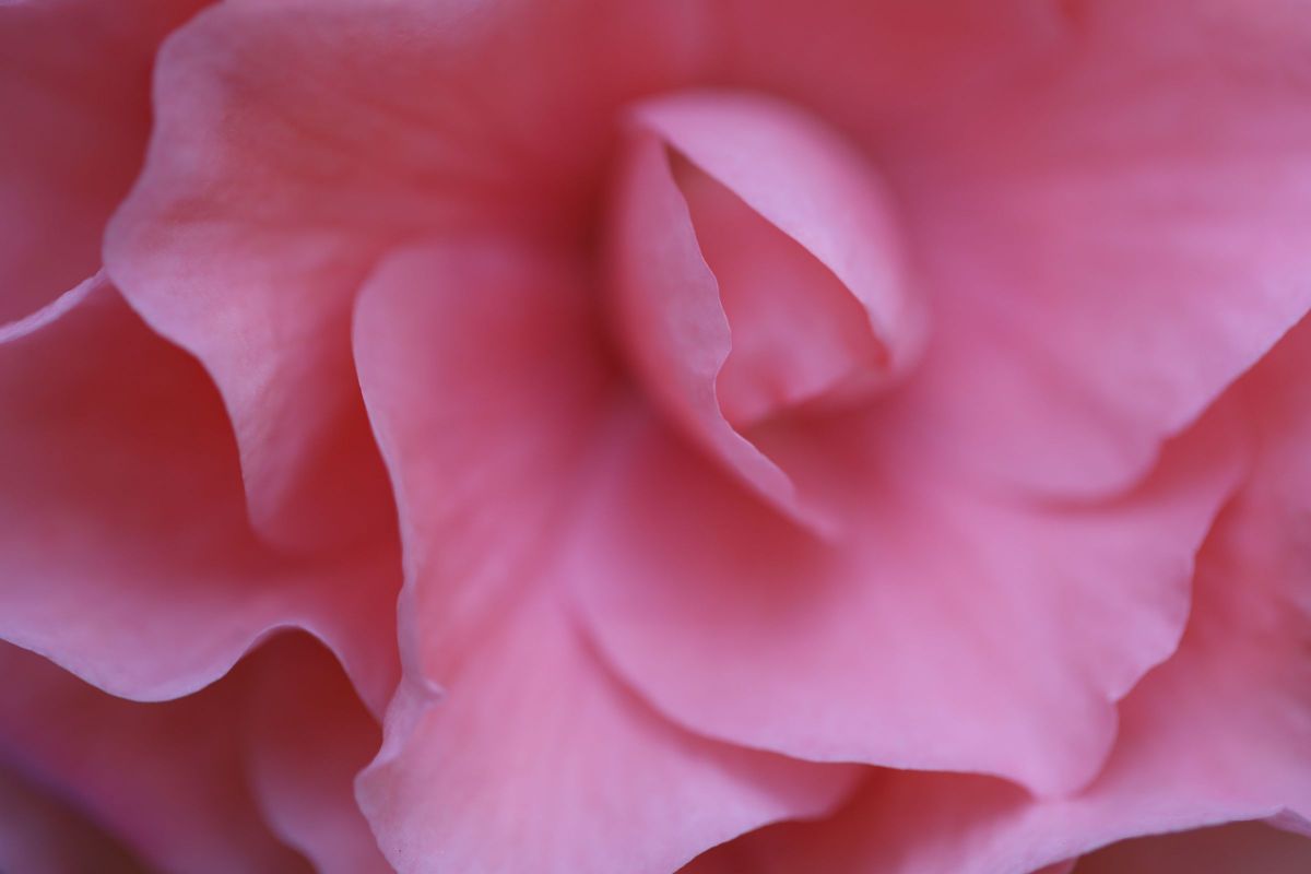 やさしさの中に | GANREF