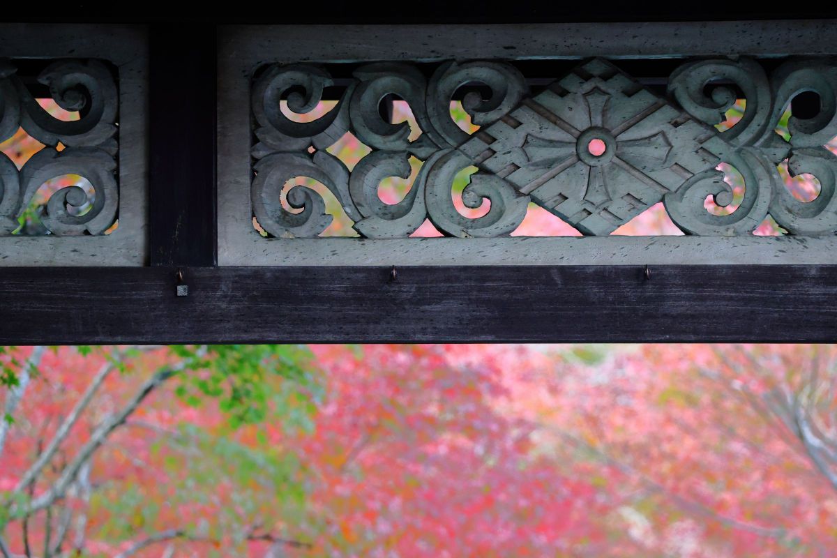 夢の入口 | GANREF