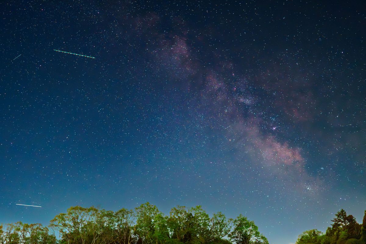 Starry night | GANREF