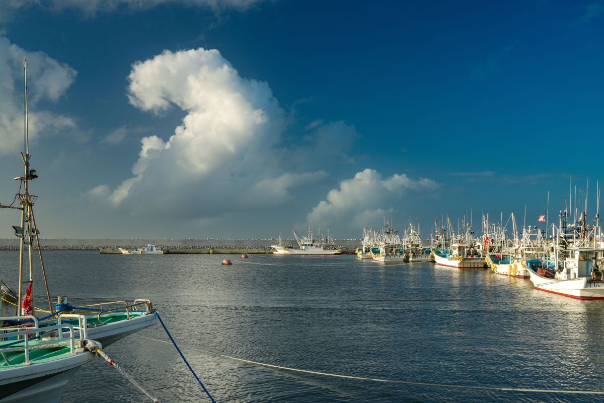 Fishing port | GANREF