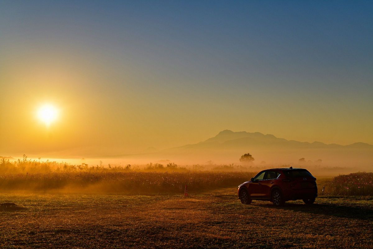 朝靄と共に。 | GANREF