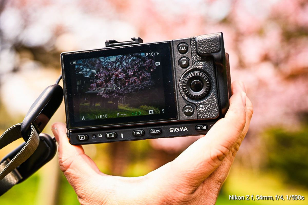 DSC_0539.jpg ミニフォト | GANREF