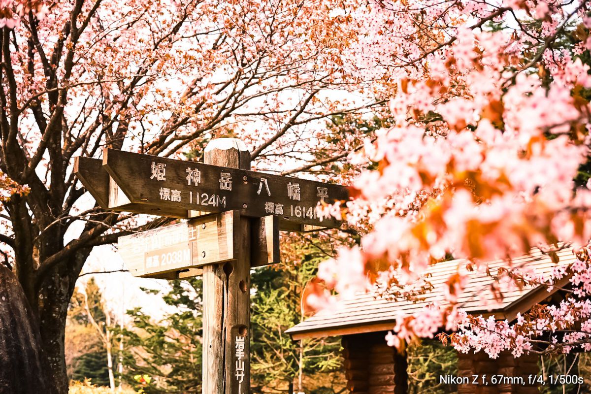 DSC_0532.jpg | GANREF