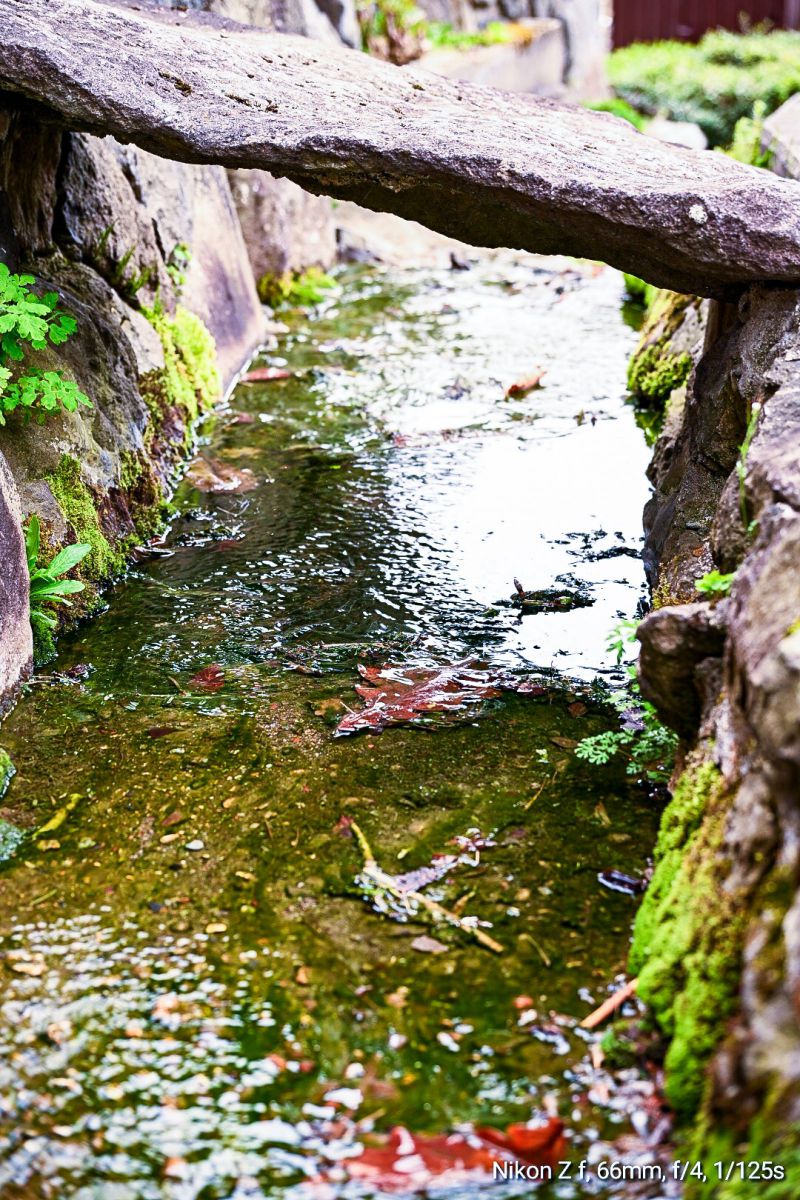 DSC_0619 (1).jpg蔵王温泉 | GANREF