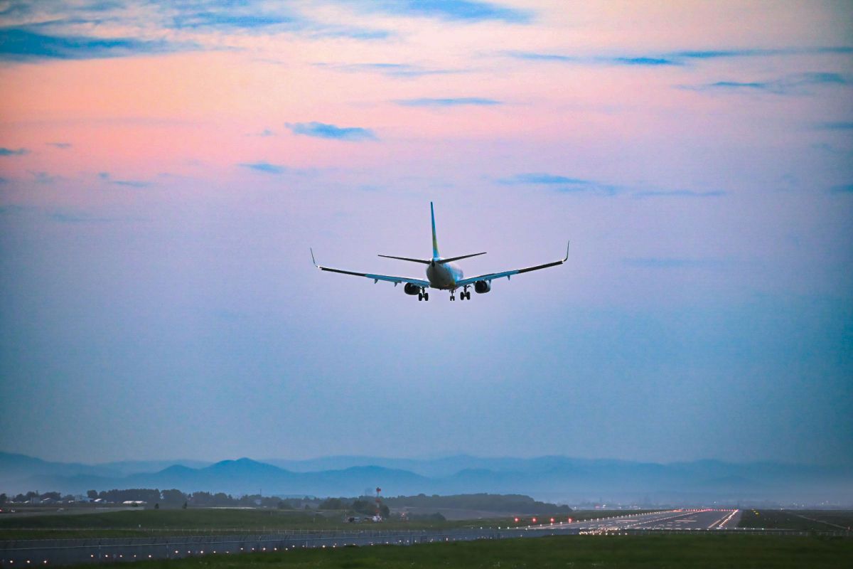 DSC_0859.jpg | GANREF