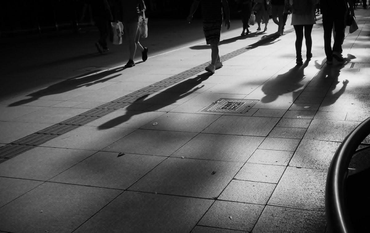 shadow and shade | GANREF