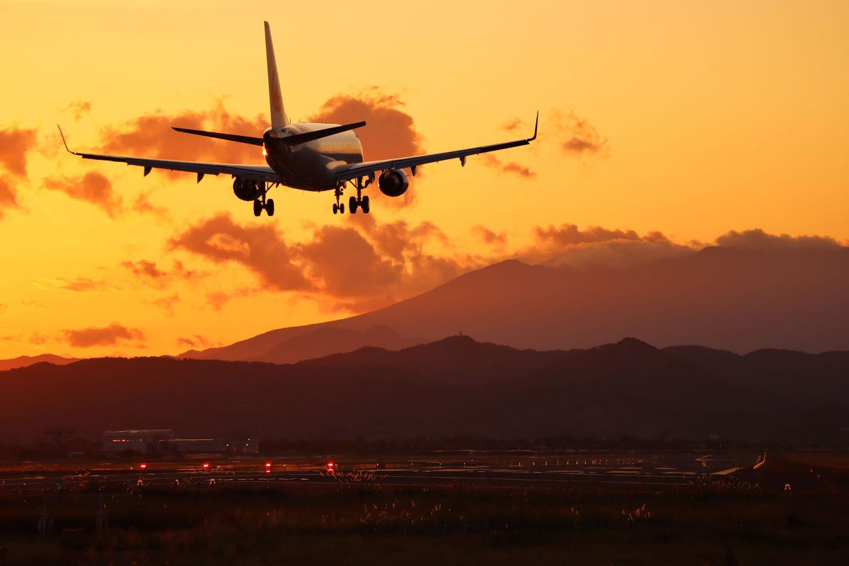 SDJ-arrival-Ⅱ | GANREF