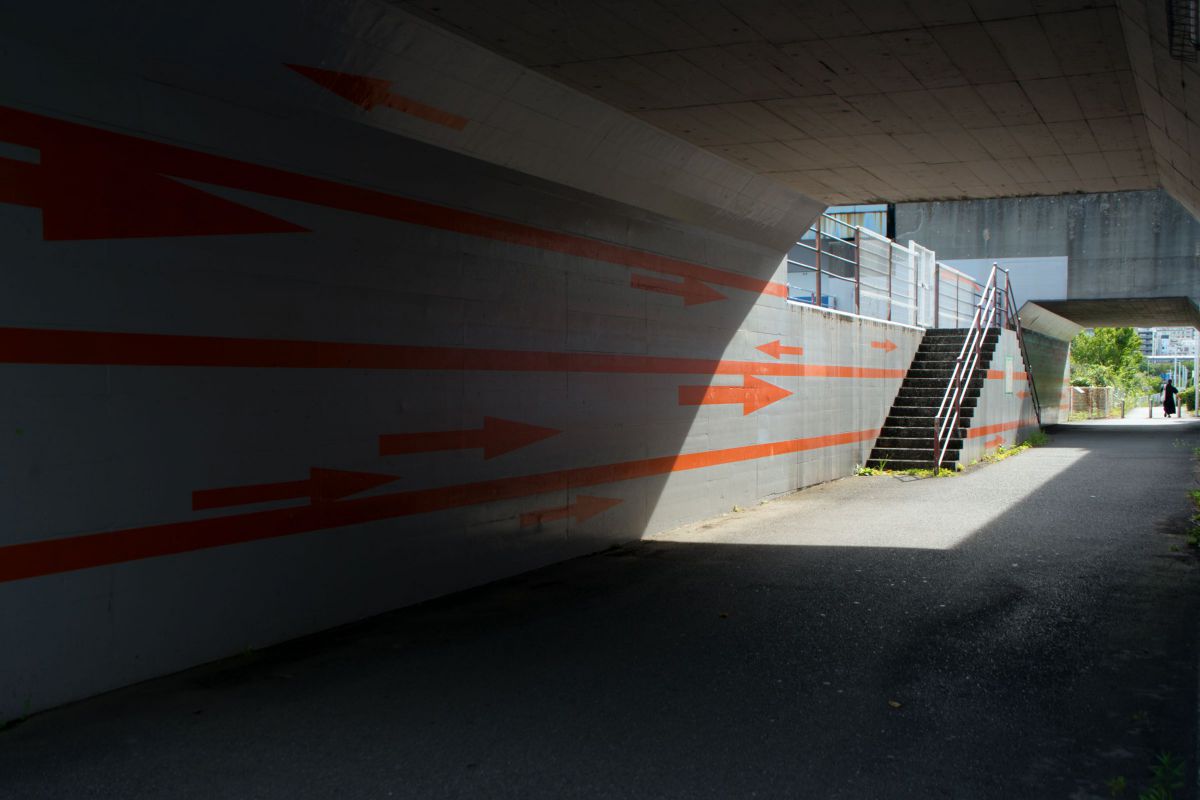 左？右？ | GANREF