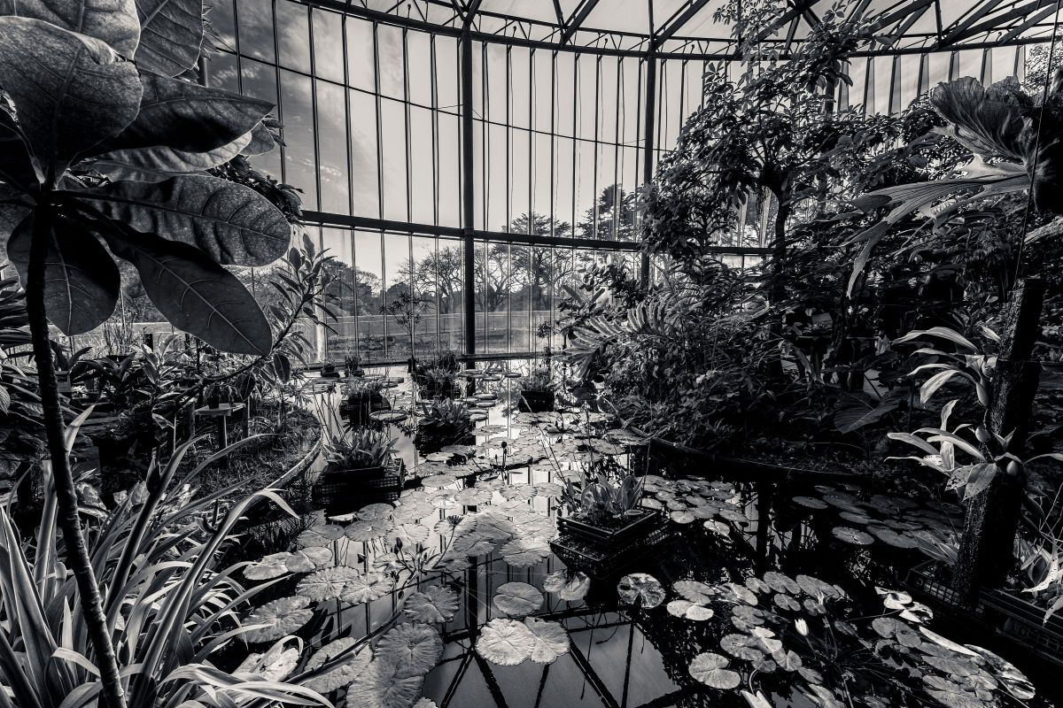 Botanical garden | GANREF