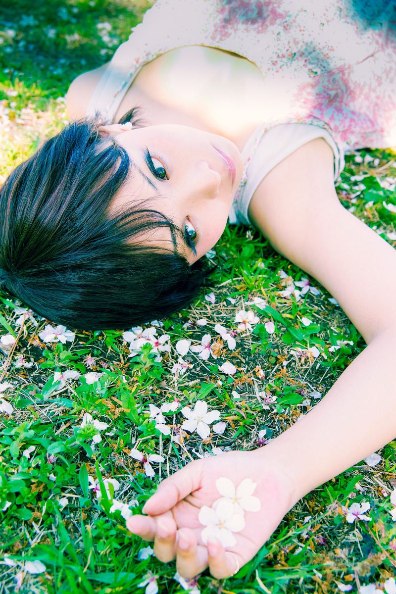 Cherry blossom | GANREF