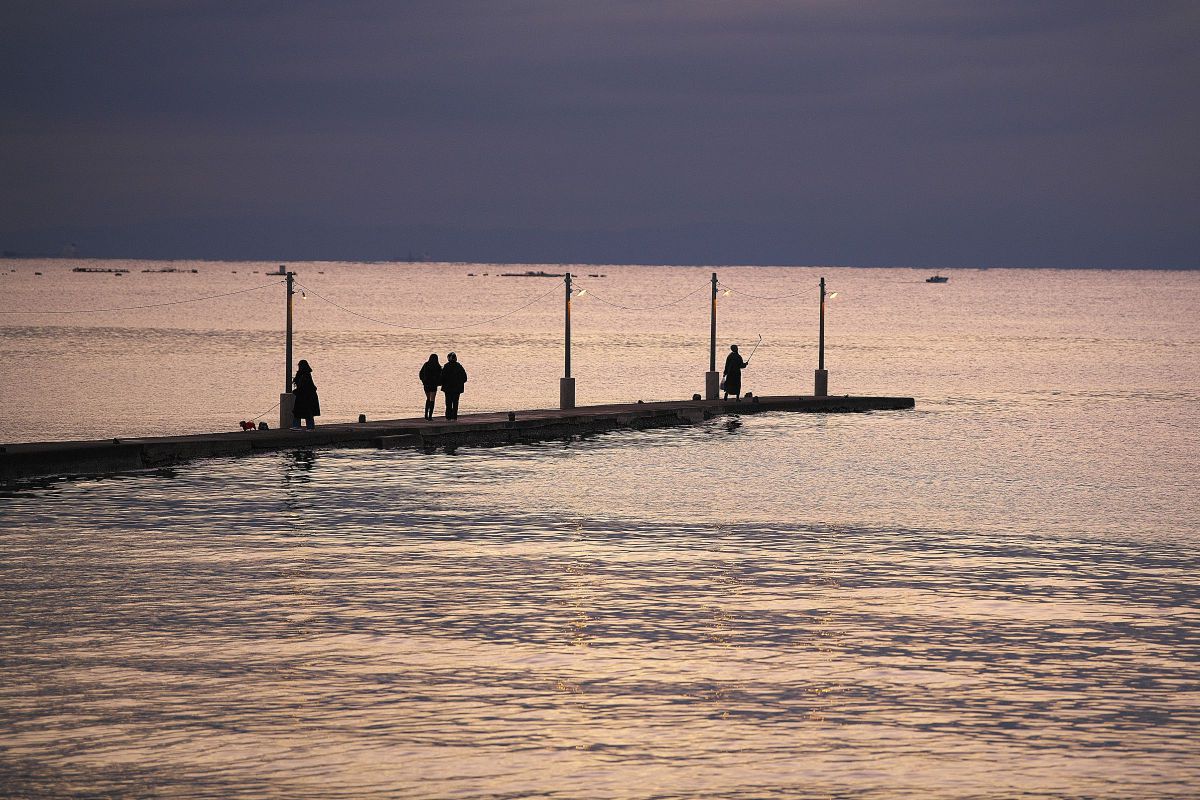 hava a good time | GANREF