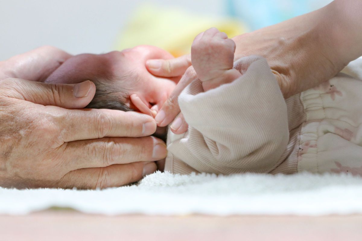 35 days old | GANREF