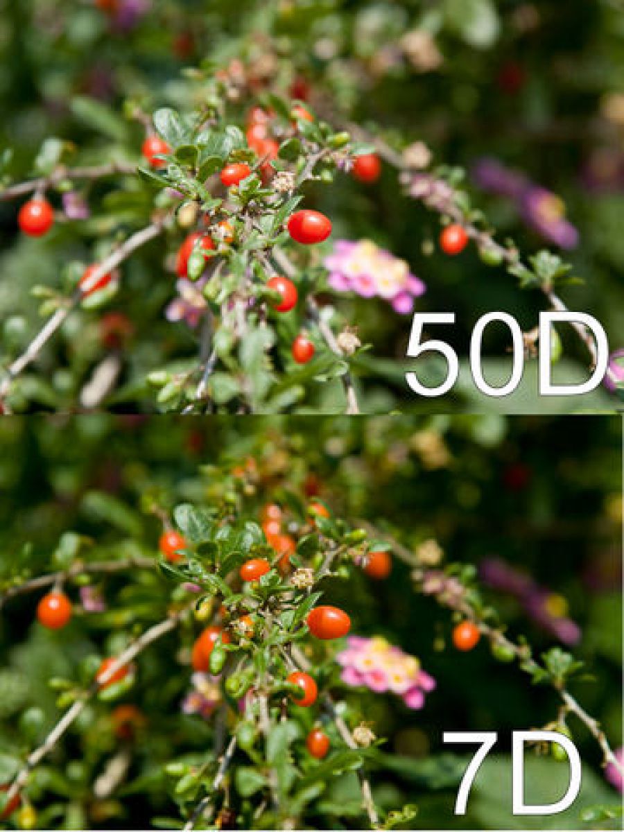 7Dへジャンプ | GANREF