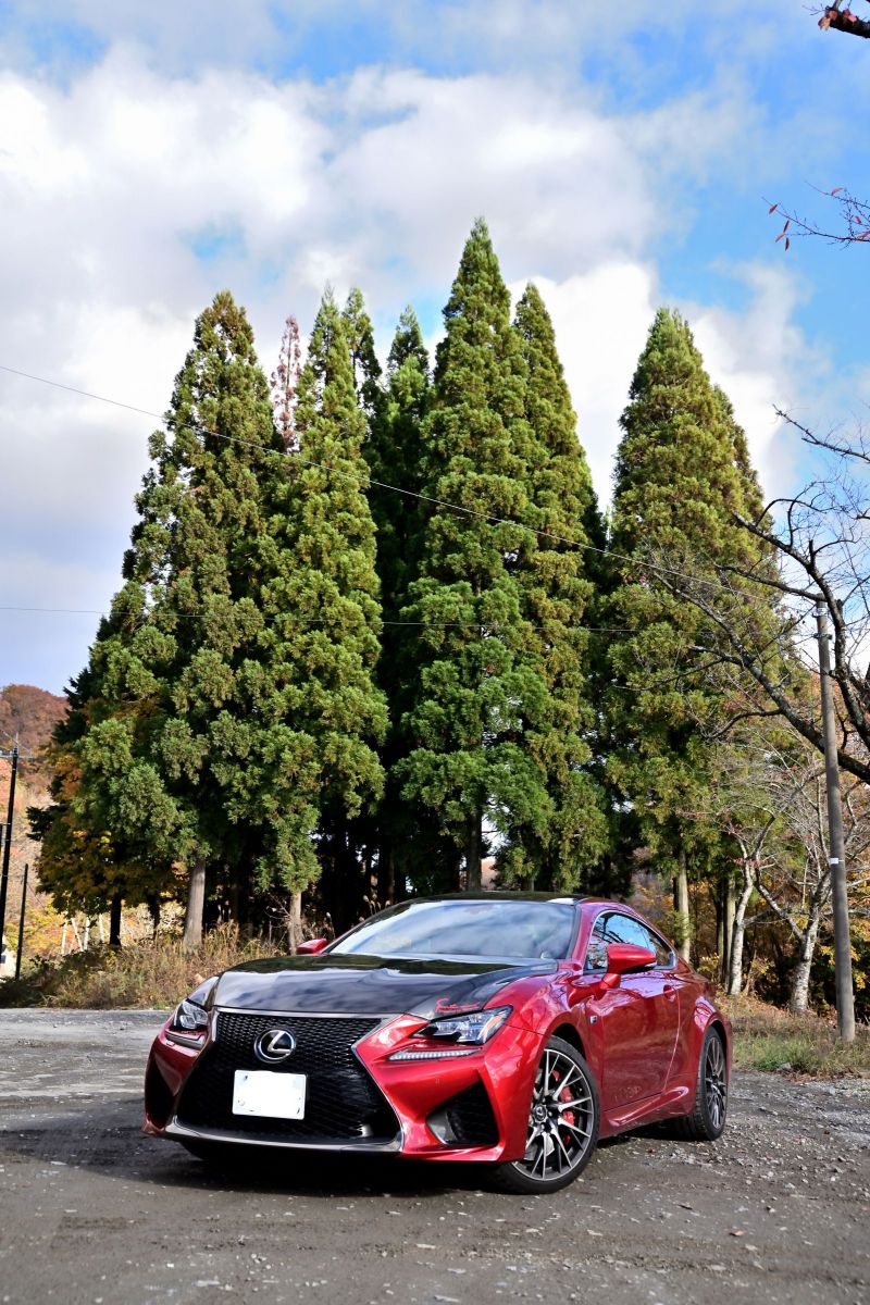 RCF ガツ坊の木 | GANREF